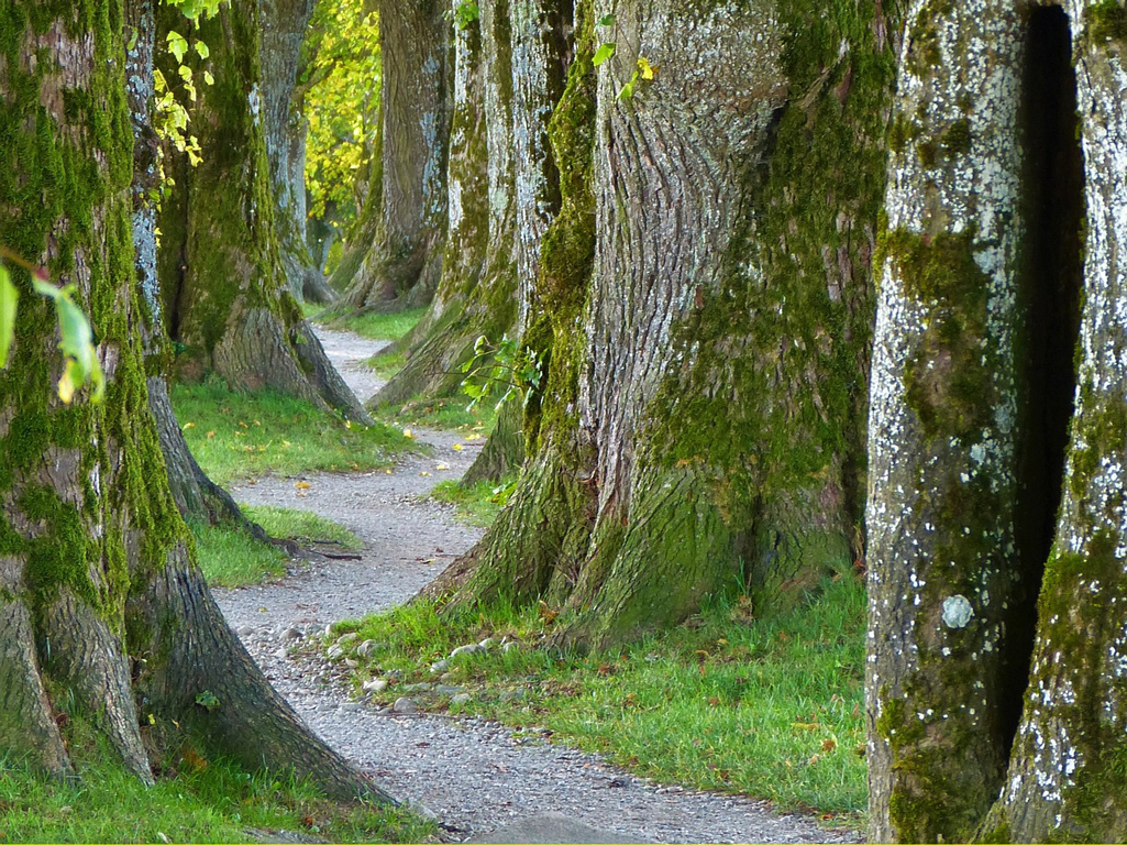 SMA Tax-Loss Harvesting | Blueprint Investment Partners